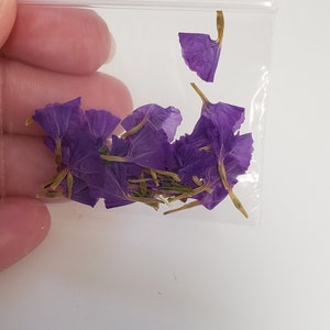Pressed Mini Statice, Small Flower for Resin - Etsy