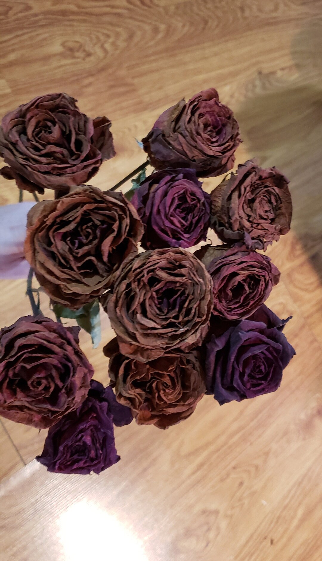 11 Vintage Edition Red Roses Not Perfect Roses for Crafts - Etsy