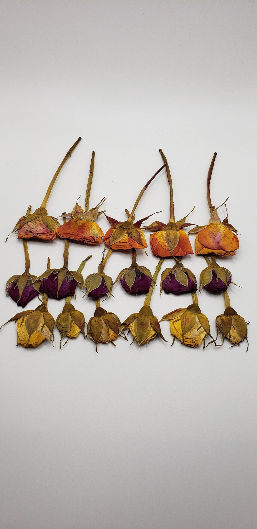 Pressed Mini Rose Buds for Crafts, for Jewelry Making, for Wedding ...