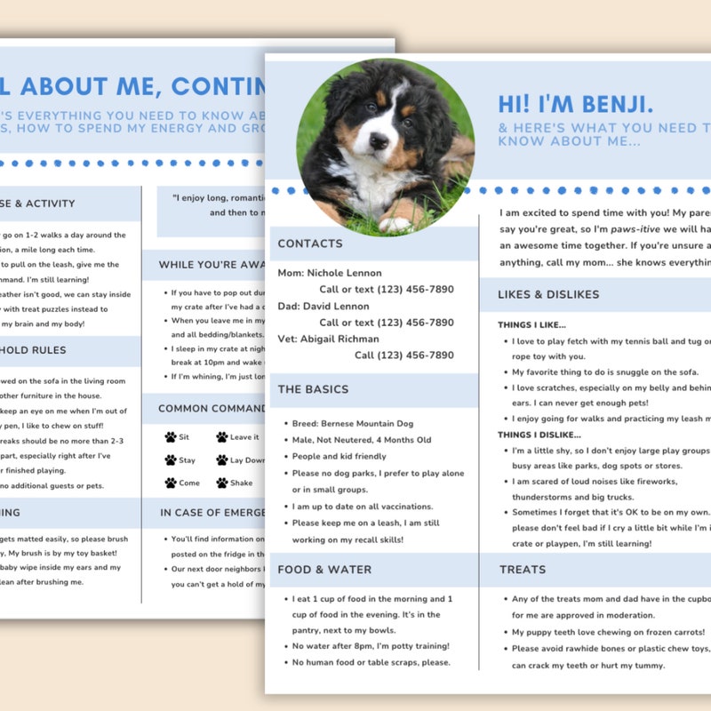 Pet Sitter Template Cat - Etsy