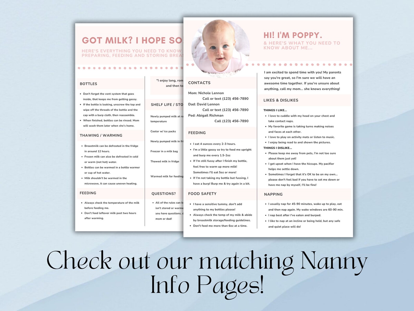 Printable Nanny Babysitter Notes / Nanny Report / Nanny Check List for ...
