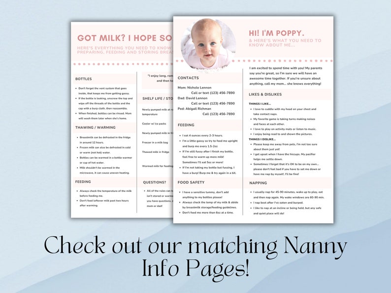 Printable Nanny Babysitter Notes / Nanny Report / Nanny Check List for ...