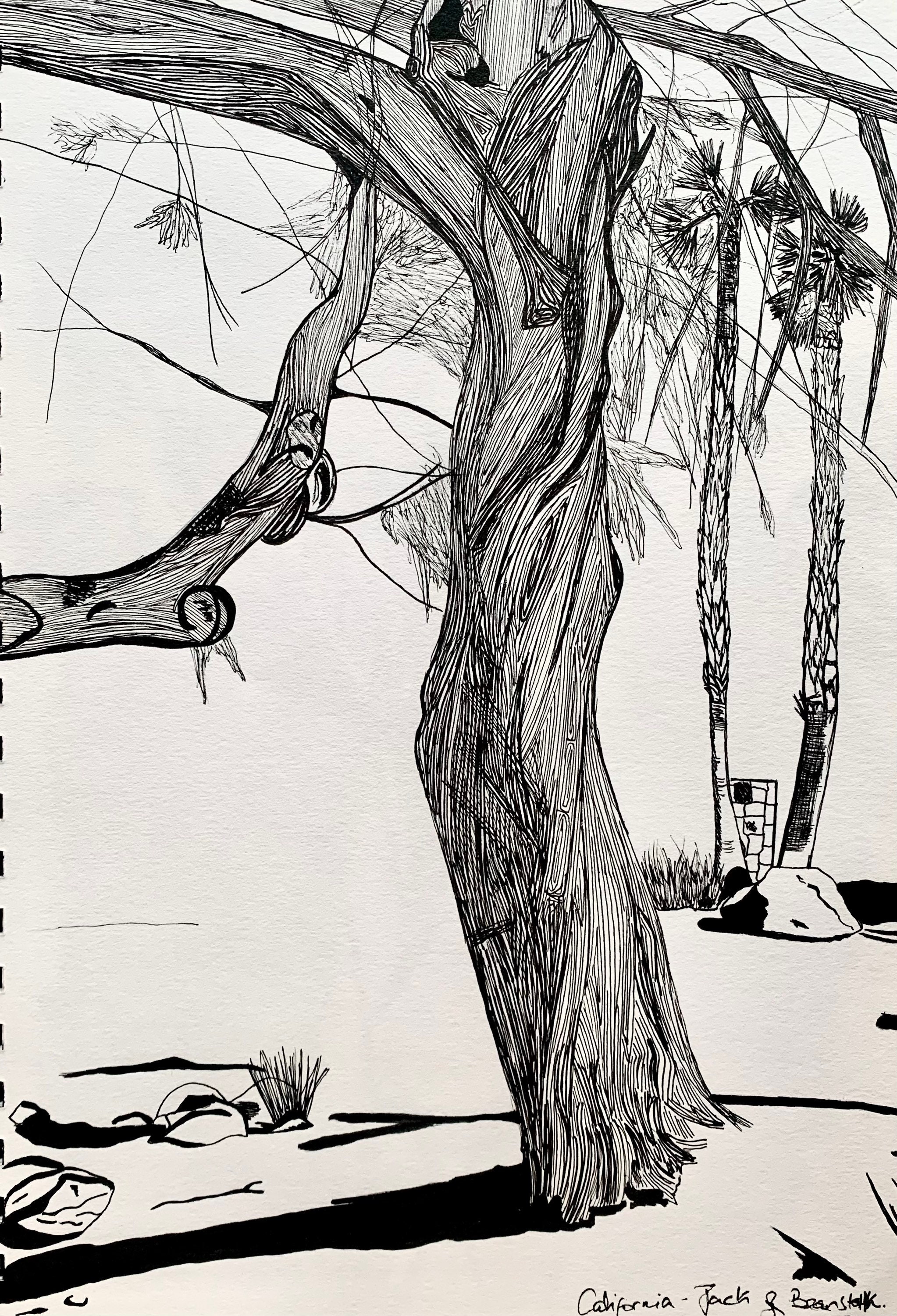 Line Drawing Jack & the Beanstalk California - Etsy