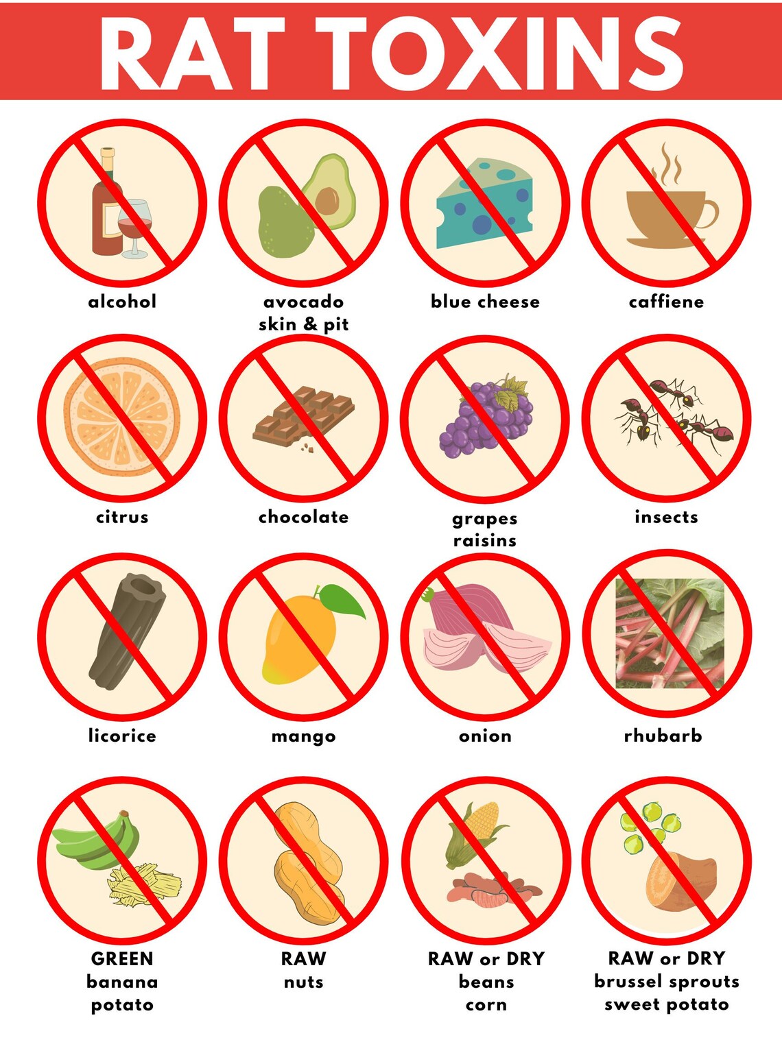 Food Toxin Sheet for Rats - Etsy