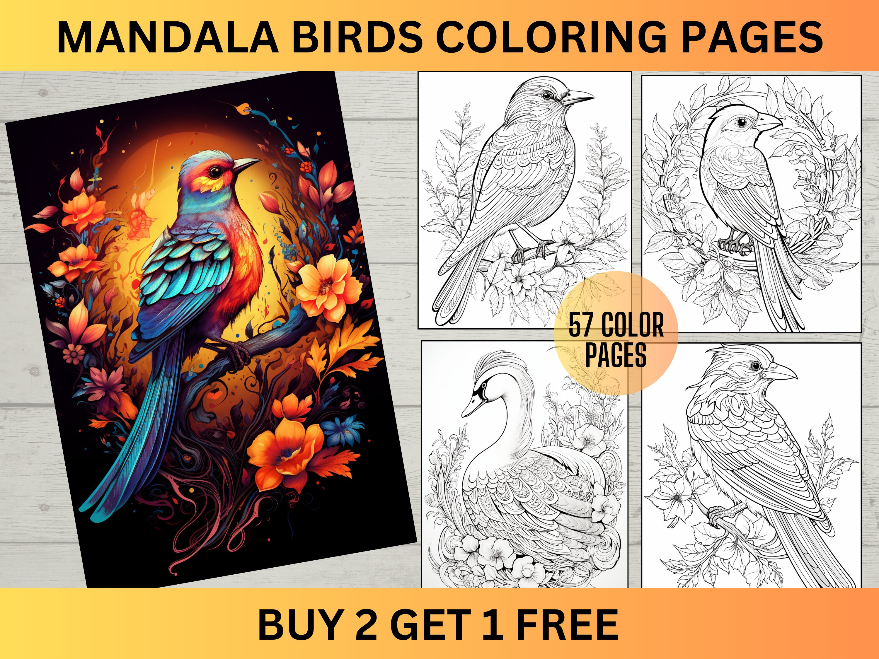 50 Forrest Mandala Birds Coloring Pages Digital Pages for - Etsy
