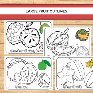 Fruit Coloring Pages, Coloring for Mindfulness, Teacher Resources, Kids ...
