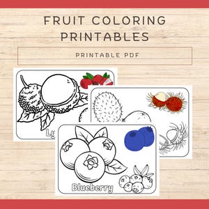 Fruit Coloring Pages, Coloring for Mindfulness, Teacher Resources, Kids ...