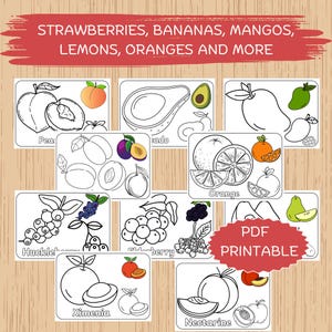 Fruit Coloring Pages, Coloring for Mindfulness, Teacher Resources, Kids ...
