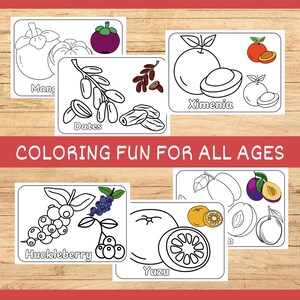 Fruit Coloring Pages, Coloring for Mindfulness, Teacher Resources, Kids ...