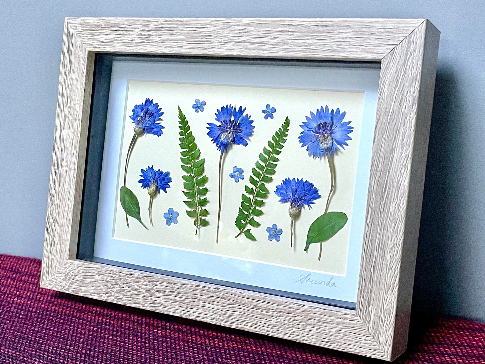 Cornflower, Forget-me-not and Fern Real Pressed Botanical Art Framed ...