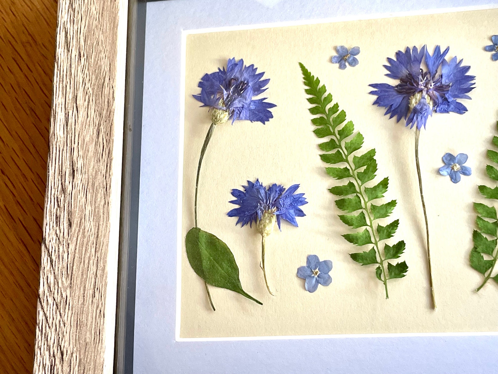Cornflower, Forget-me-not and Fern Real Pressed Botanical Art Framed ...