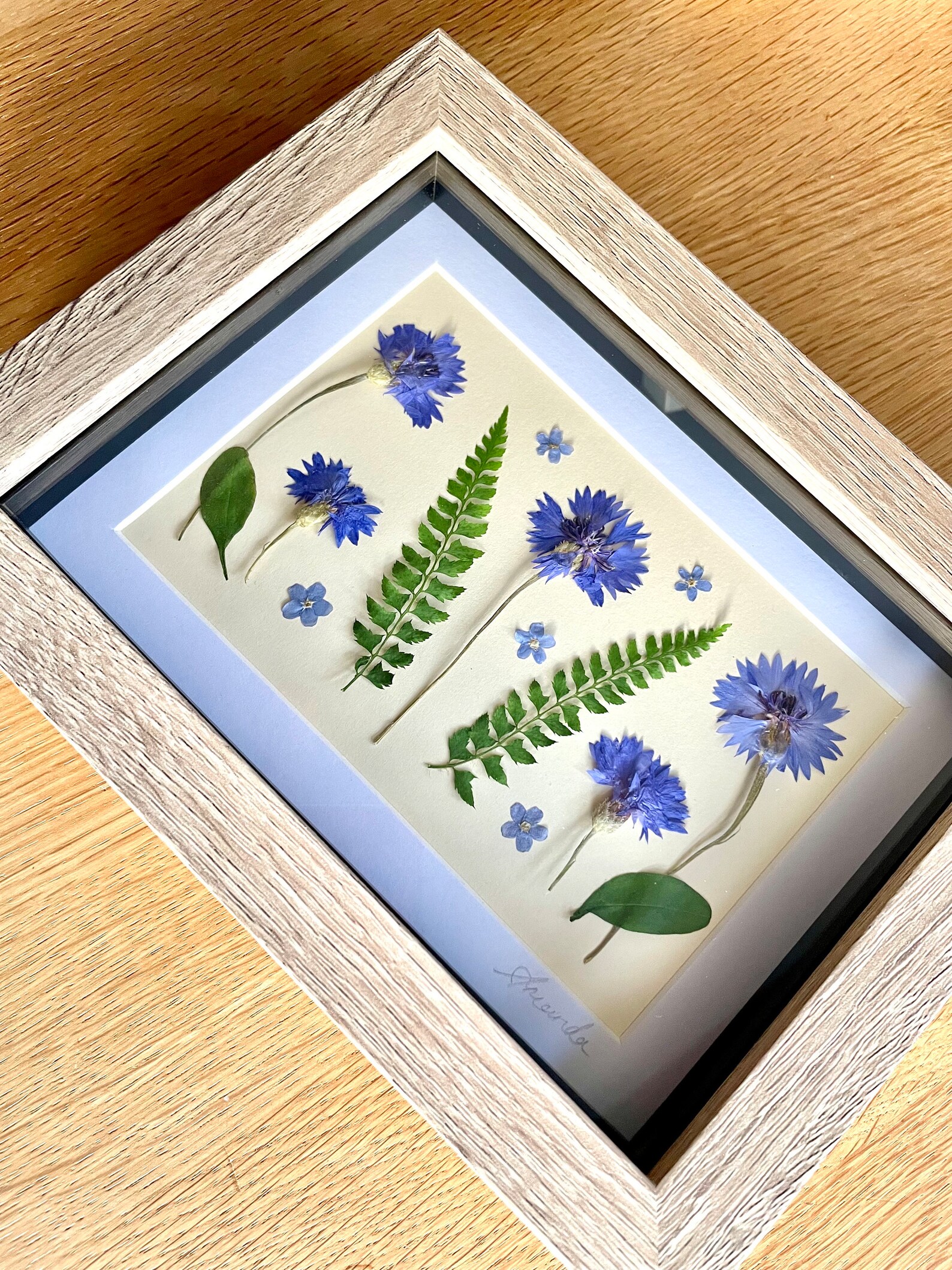 Cornflower, Forget-me-not and Fern Real Pressed Botanical Art Framed ...