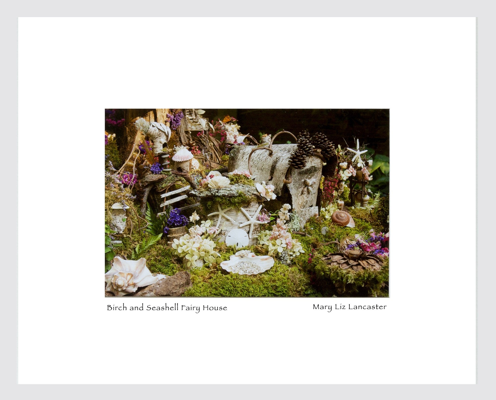 Birch and Seashell Fairy House - Etsy