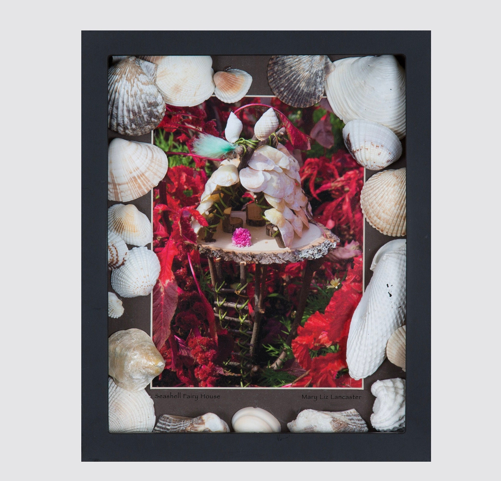 Seashell Fairy House Photo: Brown Mat Shadow Box - Etsy