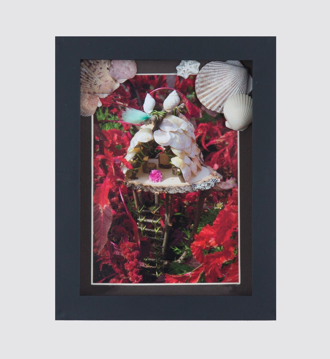 Seashell Fairy House Photo: Brown Mat Shadow Box - Etsy