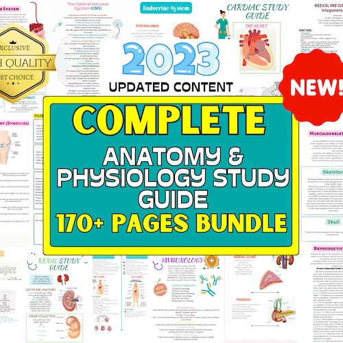 Anatomy and Physiology Nursing Anatomy Study Guide Anatomy - Etsy