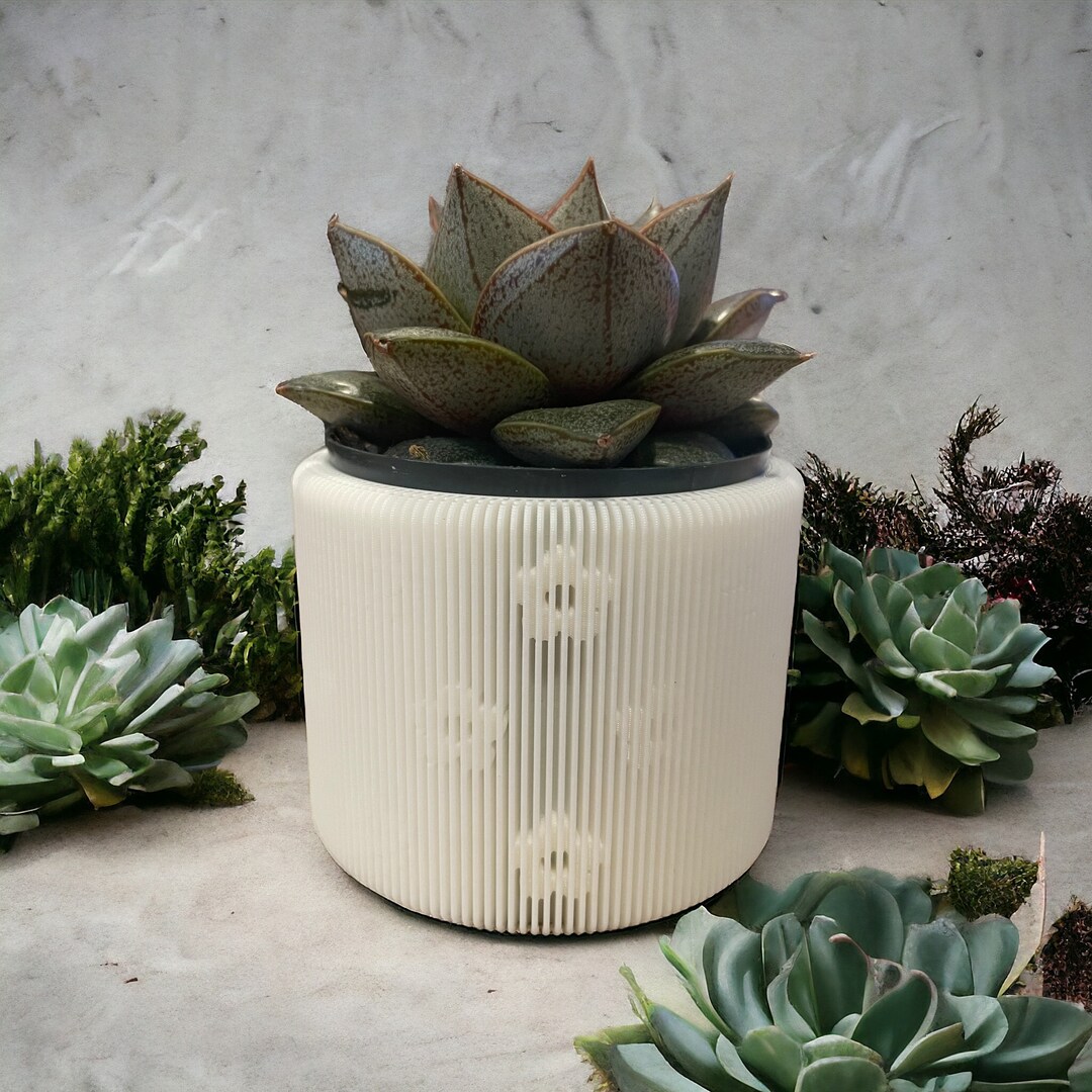 3D Printed Hidden Flower Succulent Planter Small Planter Flower Design ...