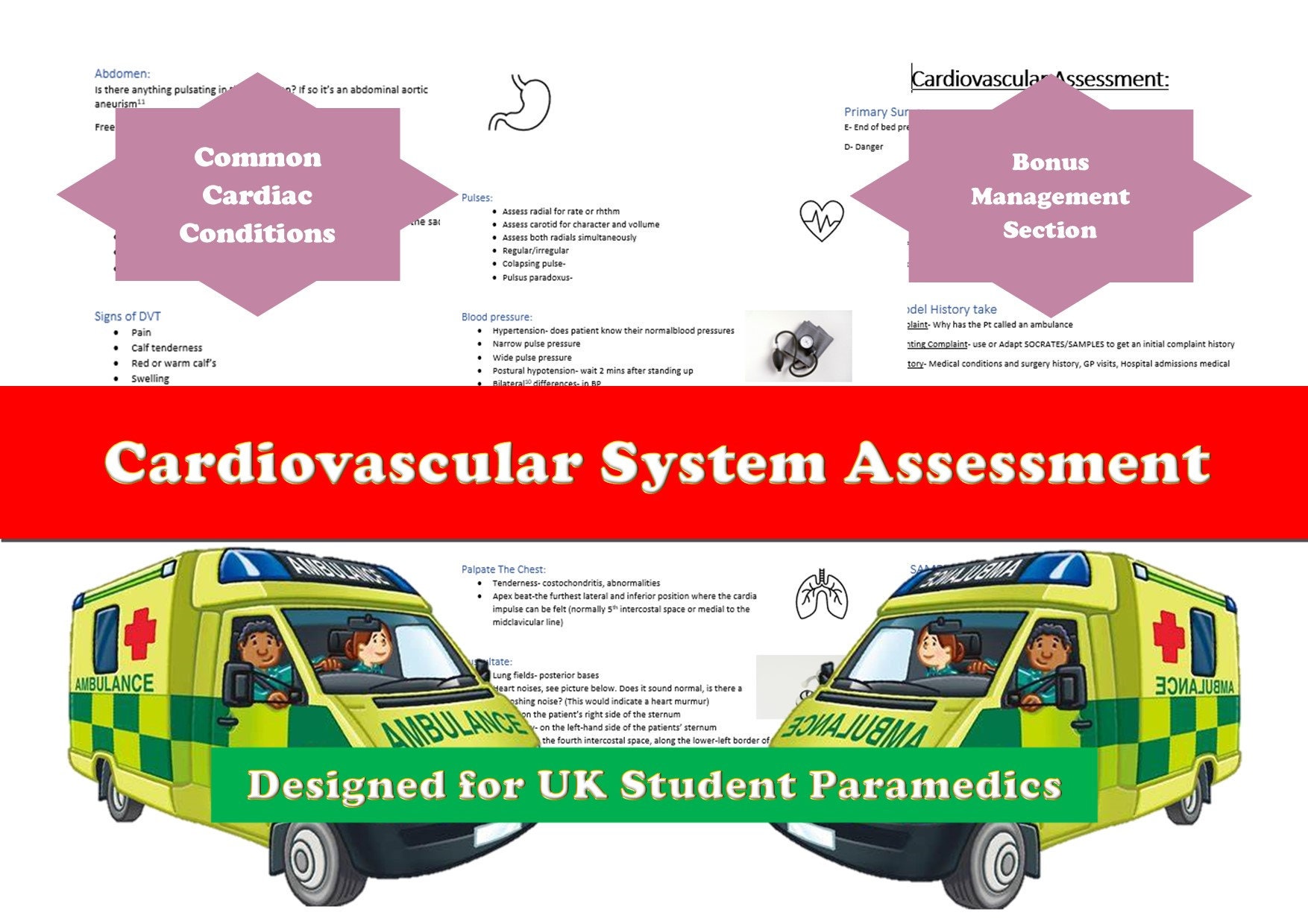 UK Paramedic Cardiovascular Assessment - All the Assessment Tools You ...