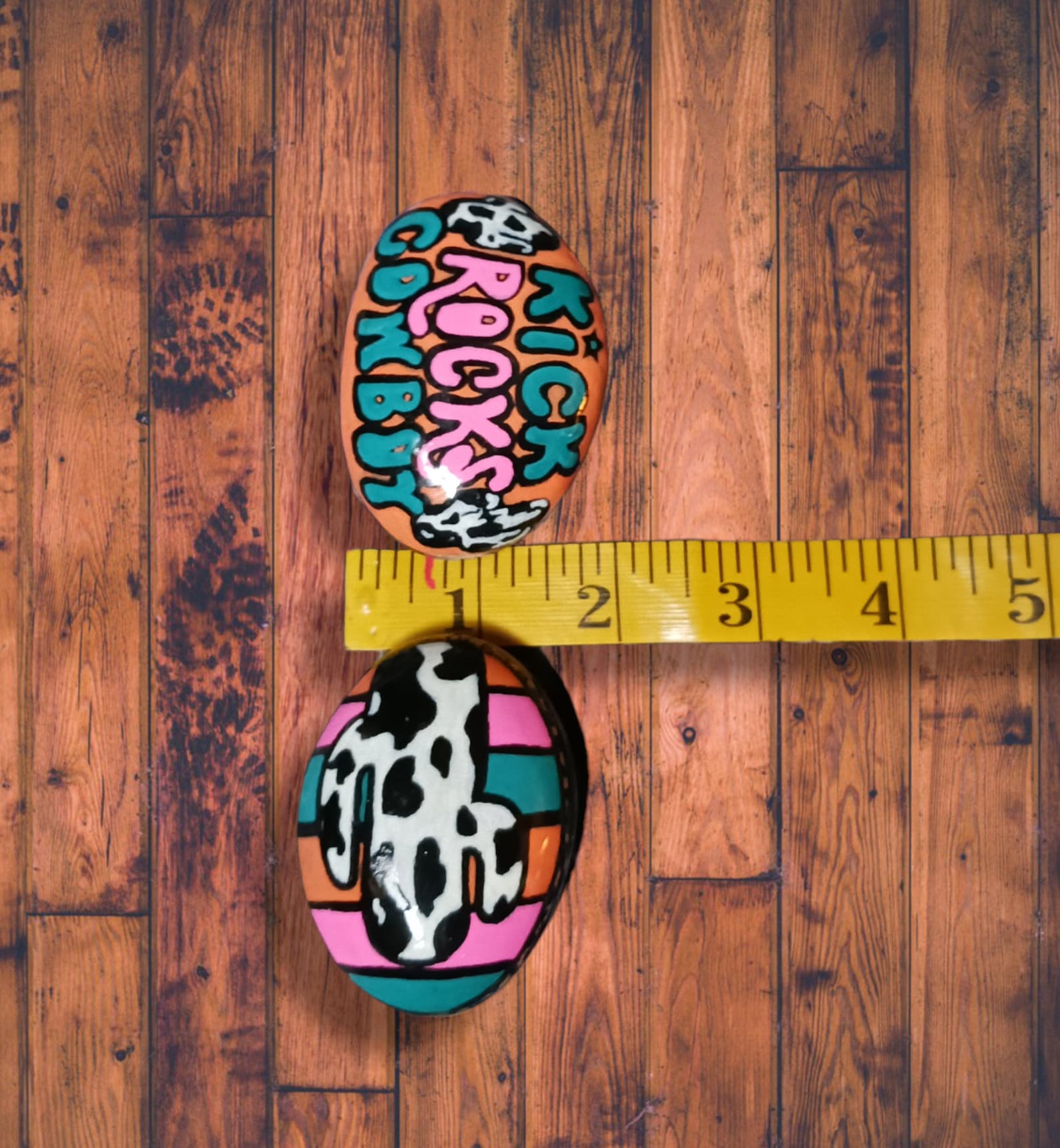 Kick Rocks Cowboy Painted Rock Art, Set of 2, Cow Print Catcus Rock ...