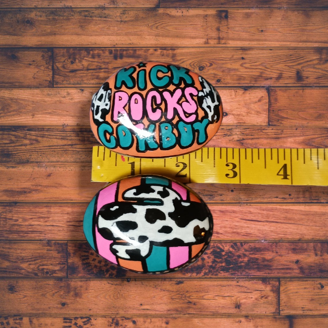Kick Rocks Cowboy Painted Rock Art, Set of 2, Cow Print Catcus Rock ...