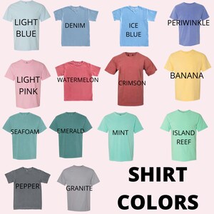 Have a Nice Day T-shirt, Comfort Colors T-shirt, Trendy Shirt ...