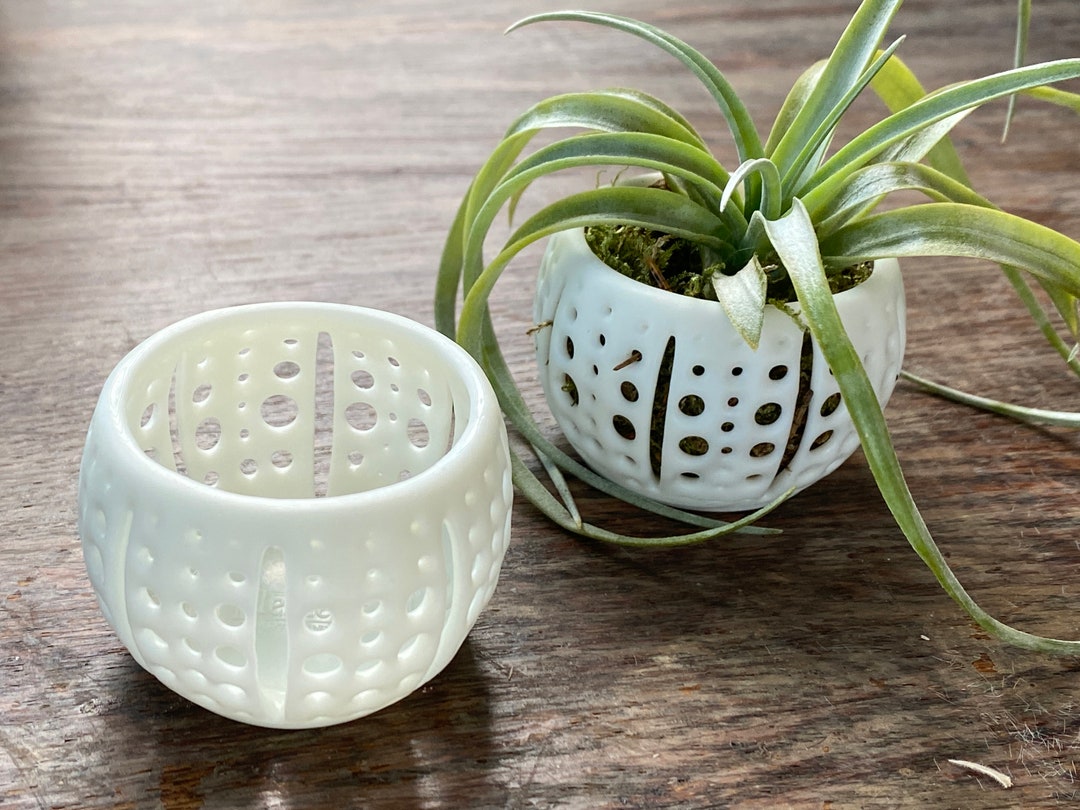 Air Plant Pots - Sea Urchin - 3D Printed (SET of 3) - Etsy