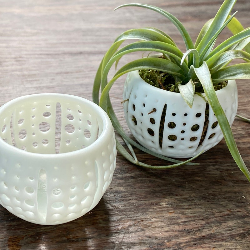 Air Plant Pot - Etsy