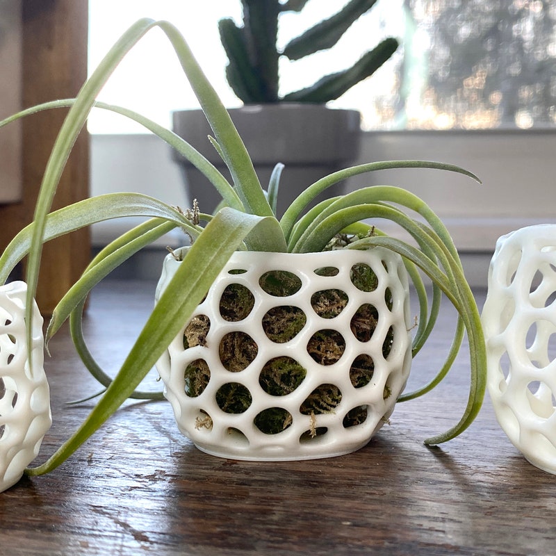 Air Plant Pot - Etsy