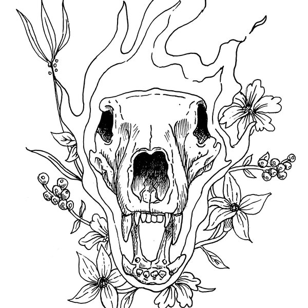 Bear Skull - Etsy
