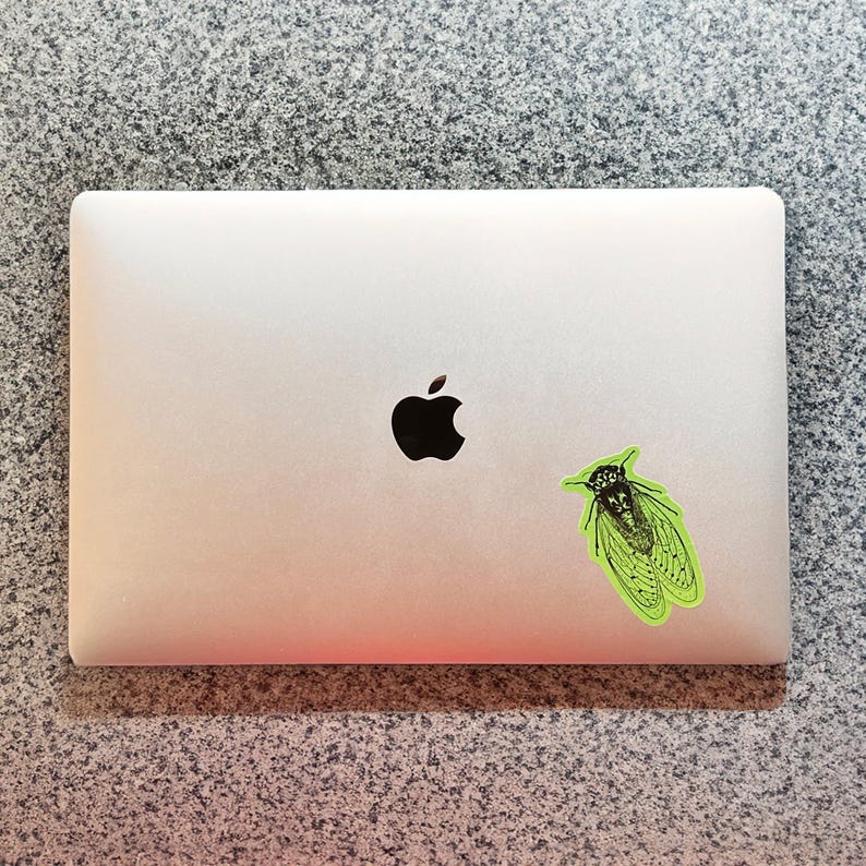 Cicada Sticker Pack - Etsy