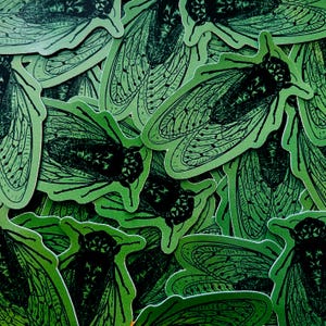 Cicada Sticker Pack - Etsy