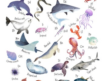 Alphabet Marine Life - Etsy