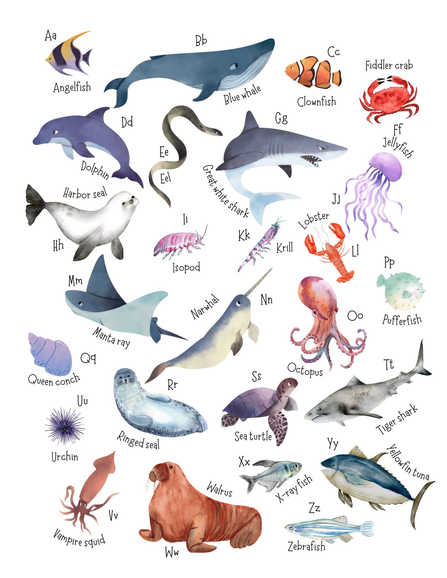 Sea Life Alphabet, Watercolor, Ocean Animals, Marine Life, Kids and ...