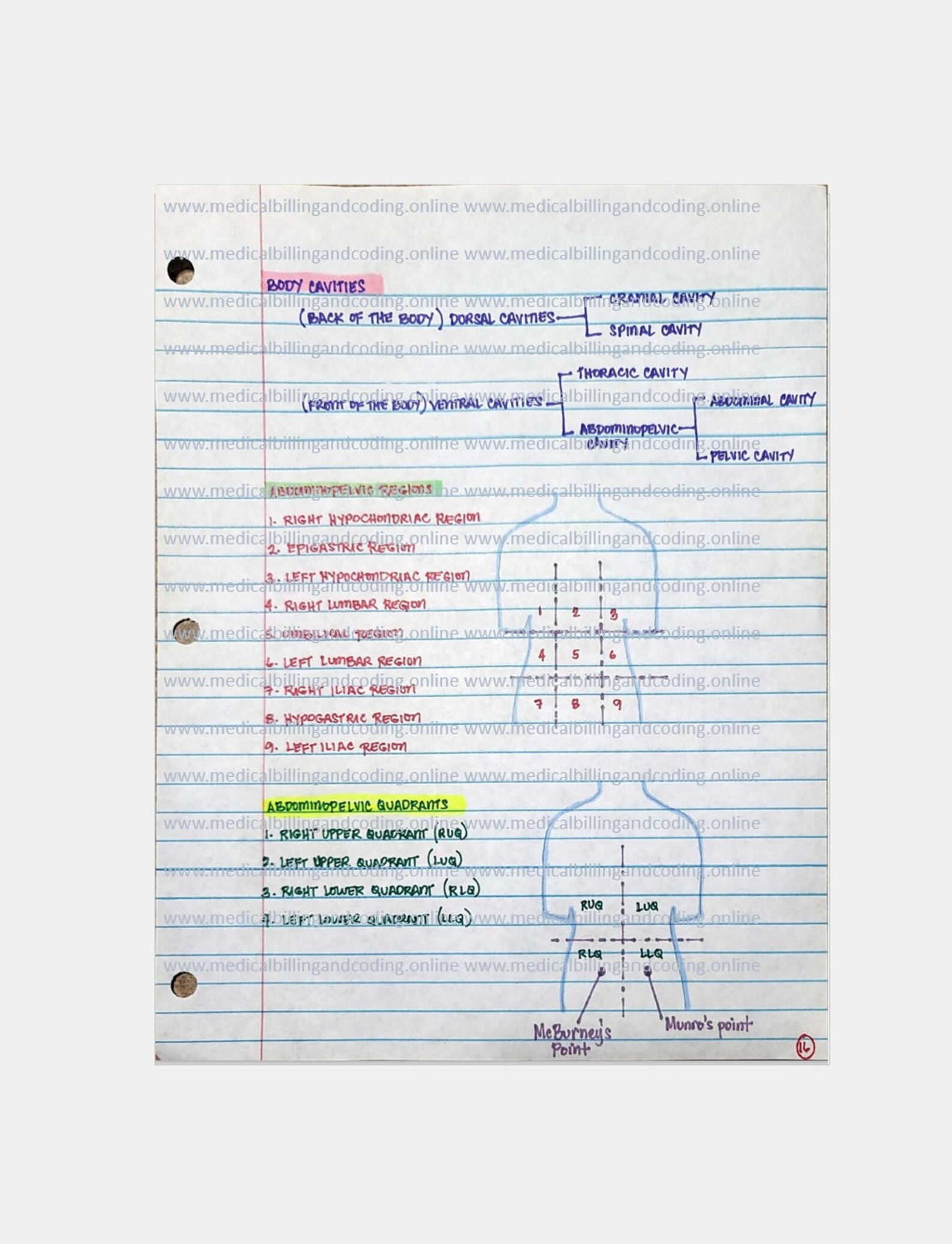 17-page PDF File of the Handwritten Summarized Notes About - Etsy