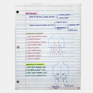 17-page PDF File of the Handwritten Summarized Notes About Body ...