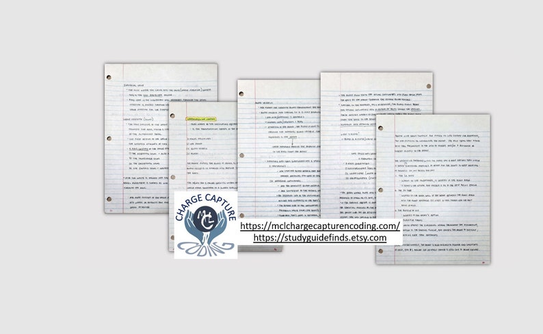 55-page PDF File of Handwritten Summarized Notes on Body Systems - Etsy