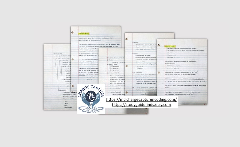 55-page PDF File of Handwritten Summarized Notes on Body Systems - Etsy