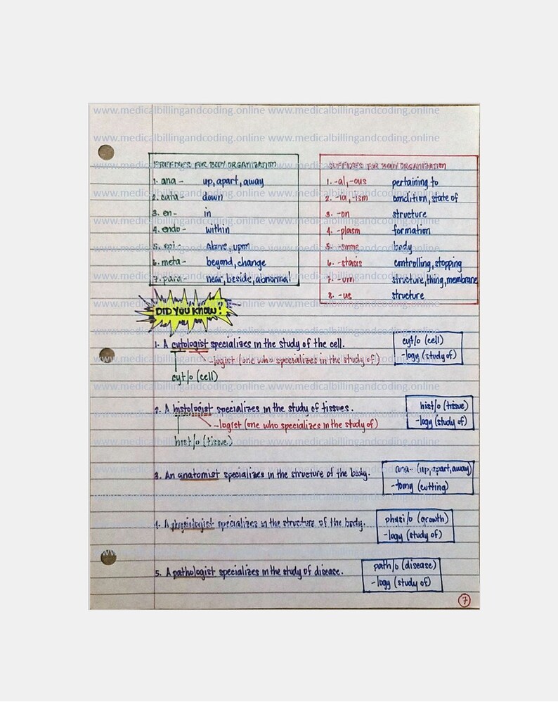 17-page PDF File of the Handwritten Summarized Notes About - Etsy