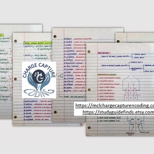 17-page PDF File of the Handwritten Summarized Notes About Body ...