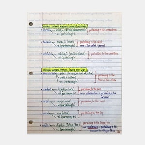 17-page PDF File of the Handwritten Summarized Notes About - Etsy