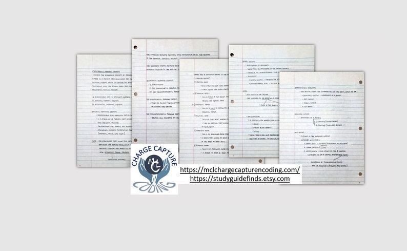 55-page PDF File of Handwritten Summarized Notes on Body Systems - Etsy