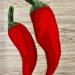 Chili Pepper Rug - Etsy