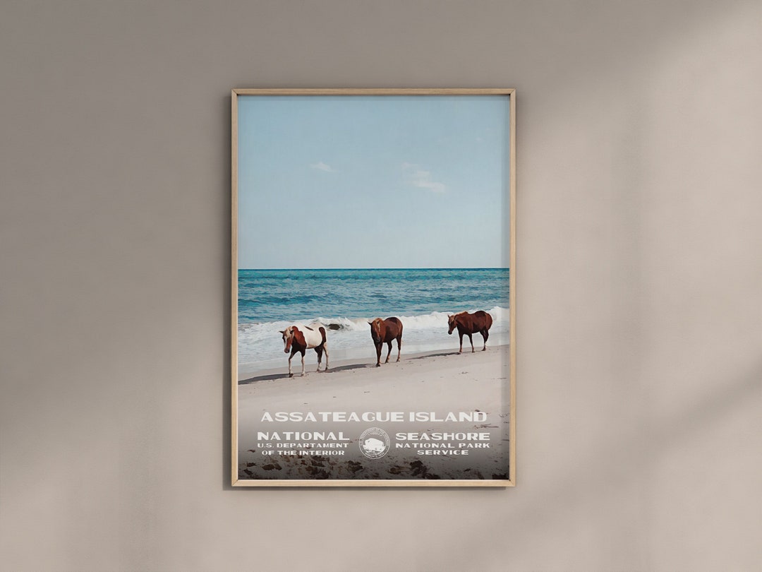 Assateague Island National Seashore Poster WPA Style | Vintage Travel ...