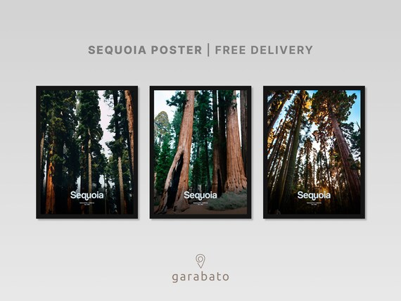 Sequoia National Park Poster Sequoia Travel Print USA - Etsy