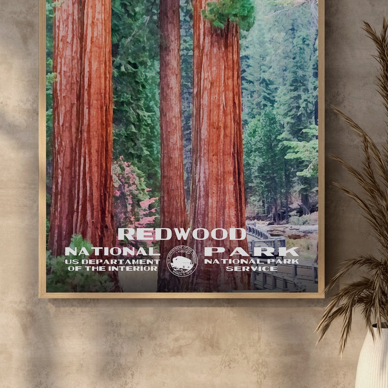 Redwood Print - Etsy
