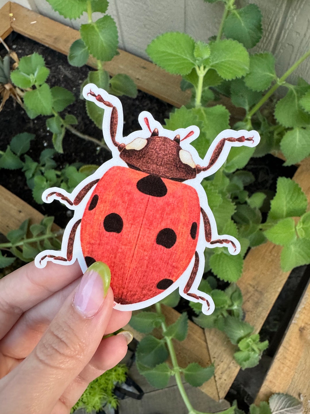 Lady Bird Lady Bug Sticker Water Resistant With an Easy Peel Backing - Etsy