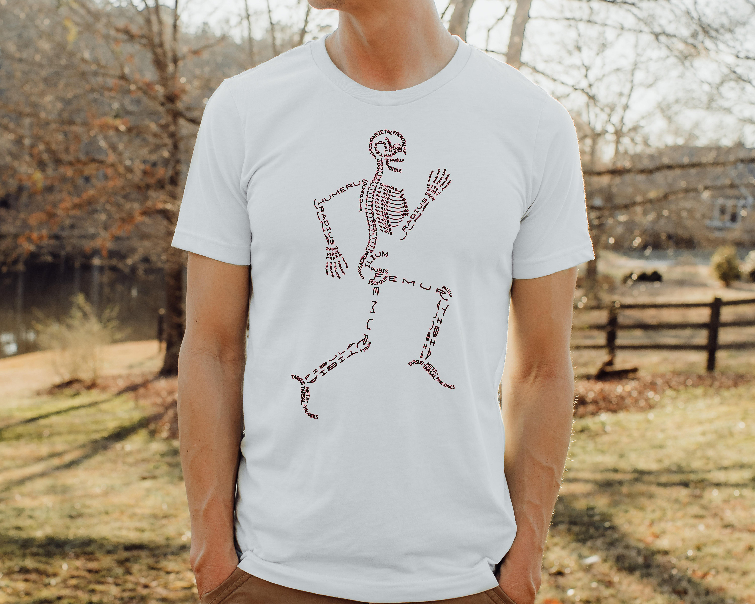 Skeleton Anatomy Shirt Halloween Shirt for Science Teacher - Etsy