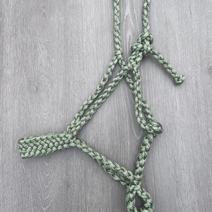 Single Color Mule Tape Halter - Etsy