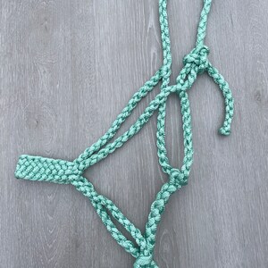 Single Color Mule Tape Halter - Etsy