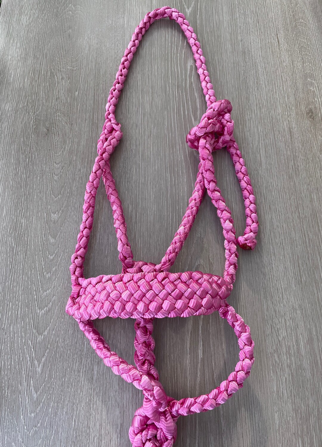 Single Color Mule Tape Halter - Etsy